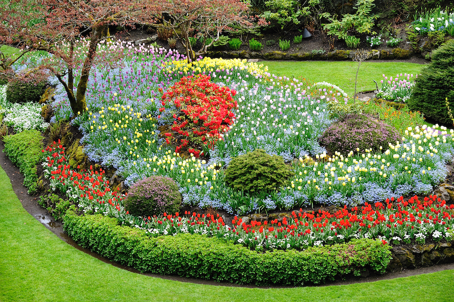 Modern, Contemporary, & Classic Landscapes - Landscape Lab